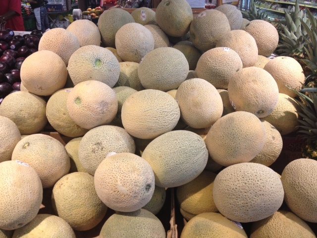 cantaloupe melon images