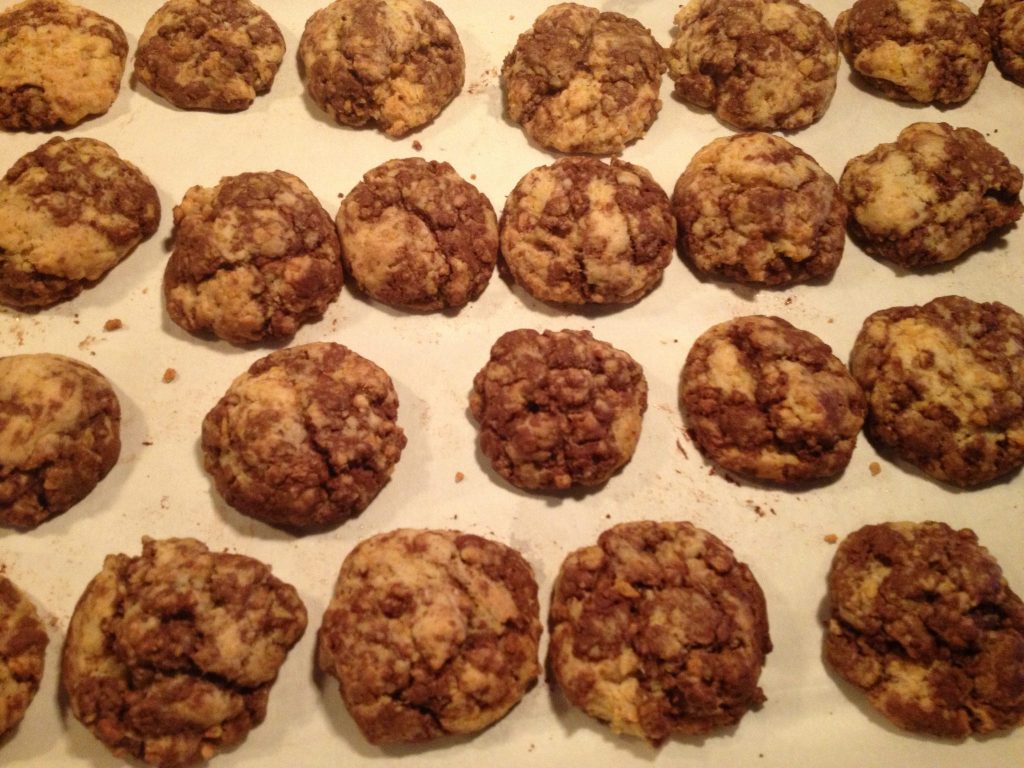 Tiger cookies...THEY'RE GR-R-REAT! - Cheftini