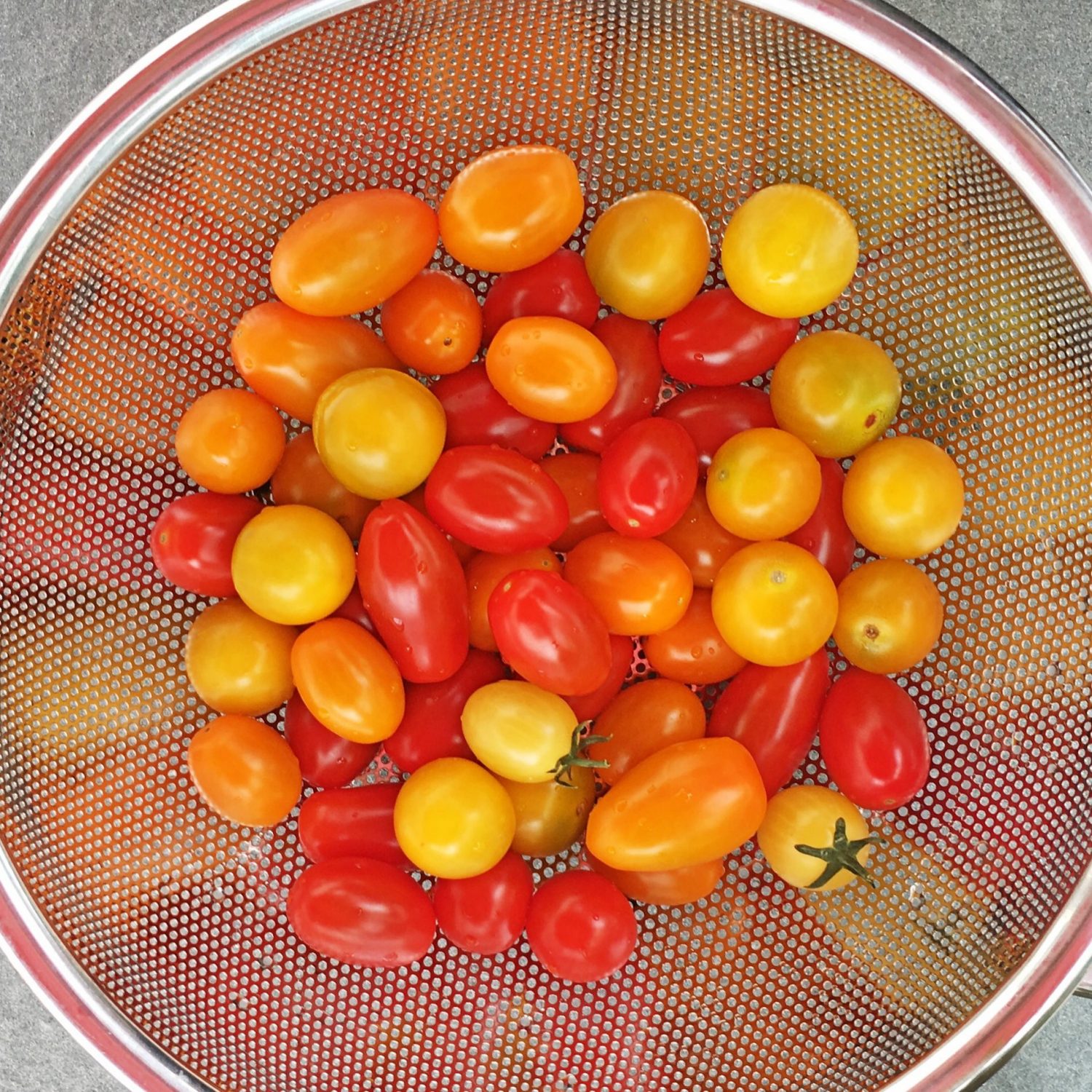 Gluten Free Penne Caprese with True Rebel Tomatoes - Cheftini